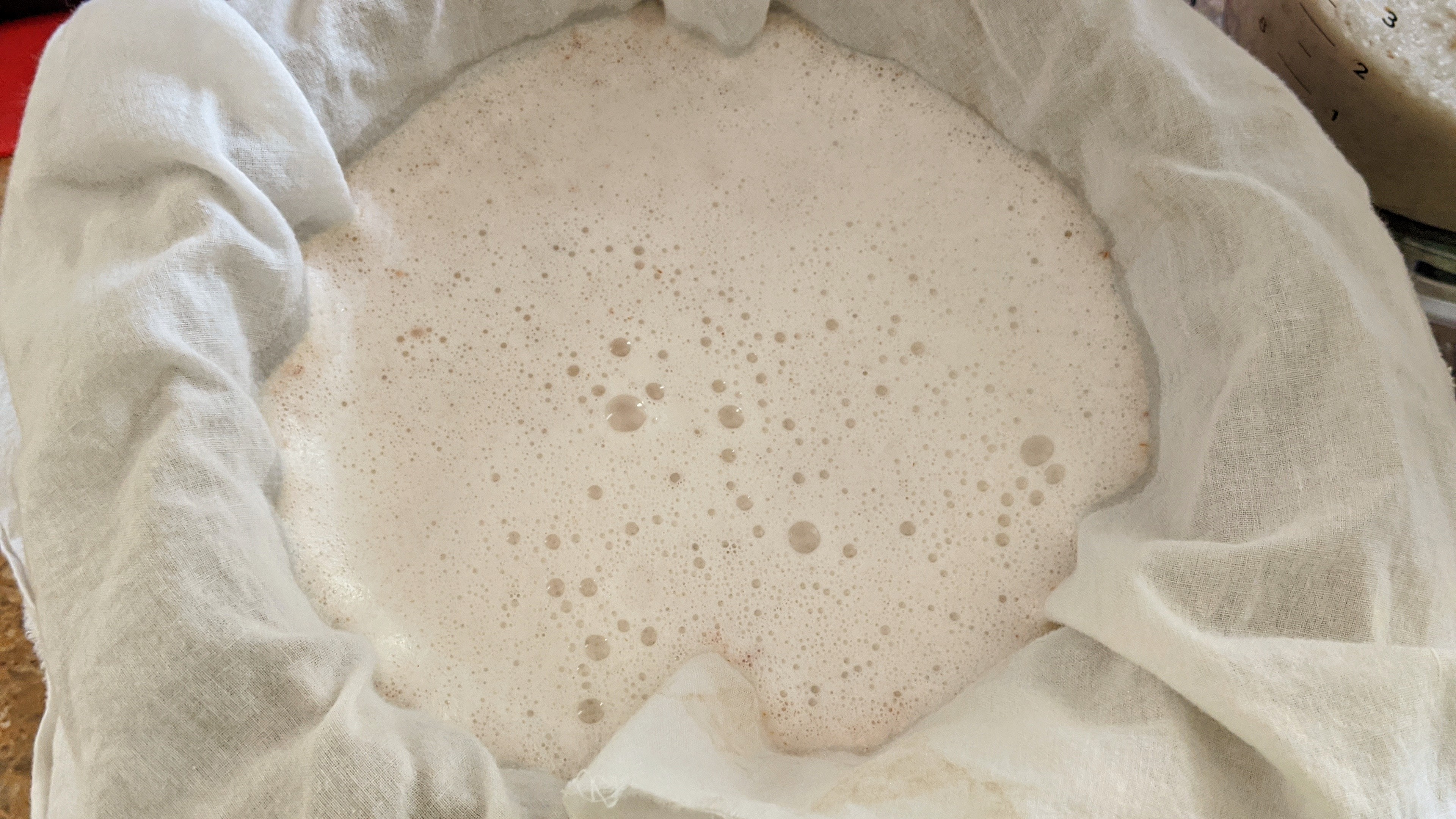 Homemade Almond Milk – Sprouting Kitchen